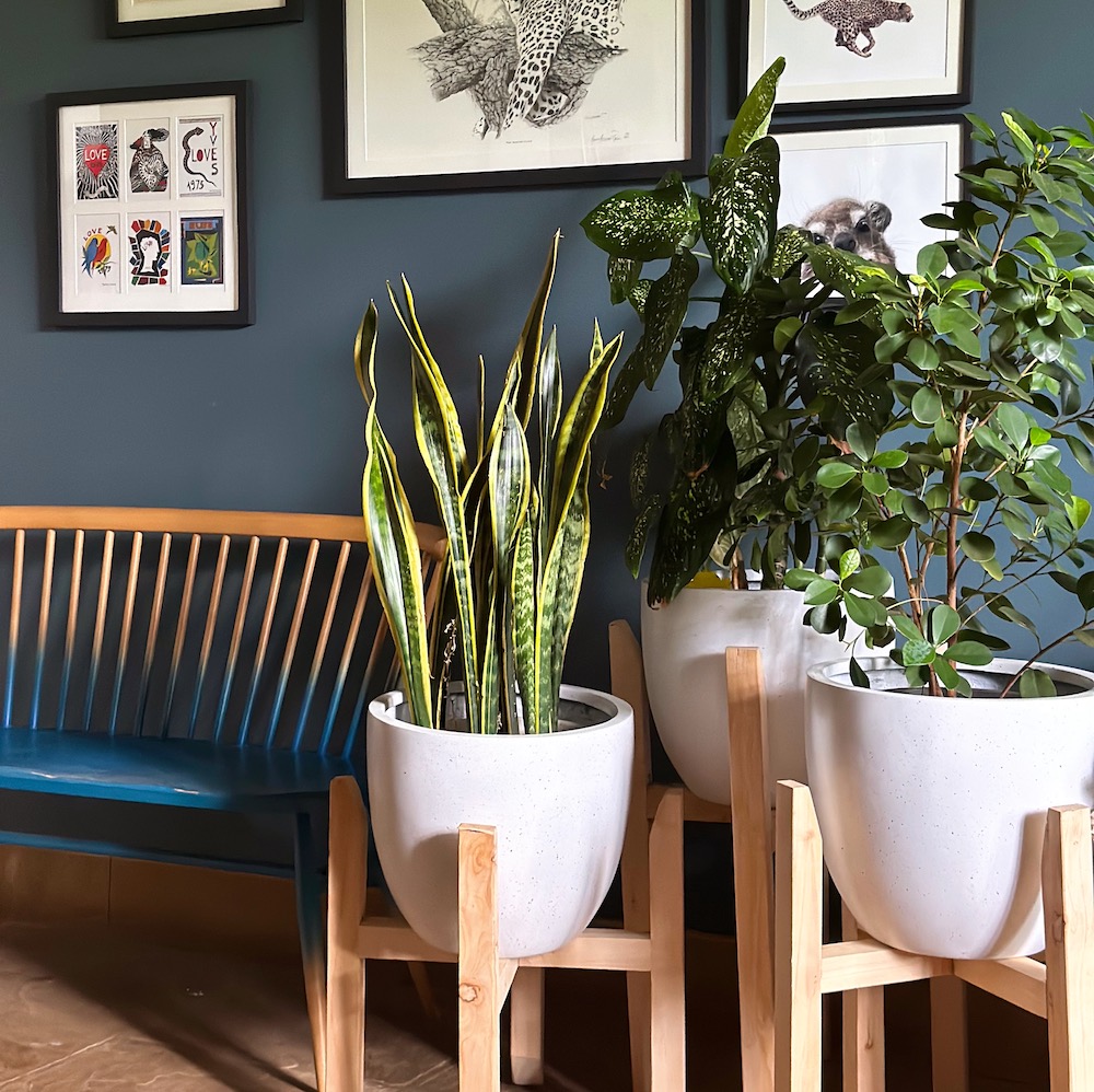 Welcome to Kuzi Trading