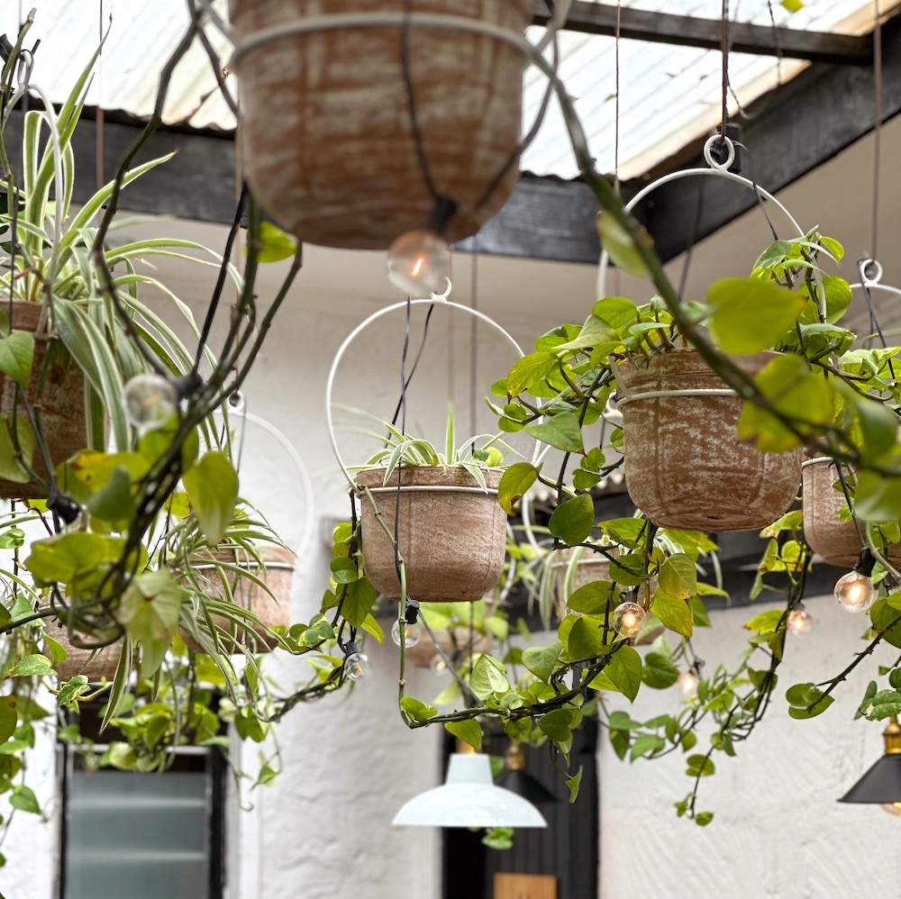 Welcome to Kuzi Trading